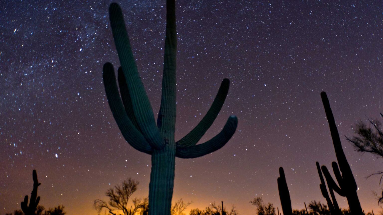 19 FANTASTIC THINGS TO DO IN PHOENIX AT NIGHT