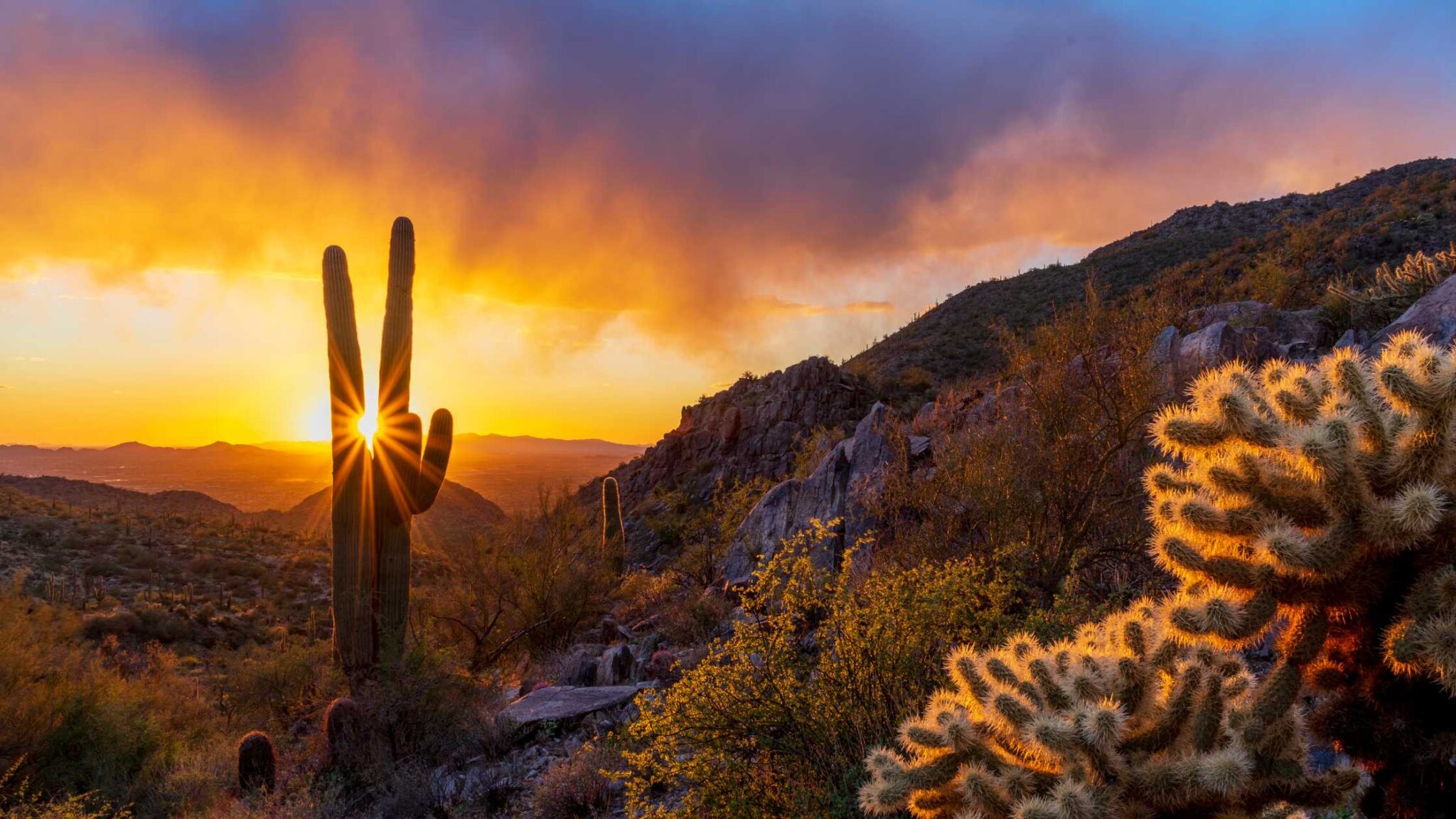 19 FANTASTIC THINGS TO DO IN PHOENIX AT NIGHT