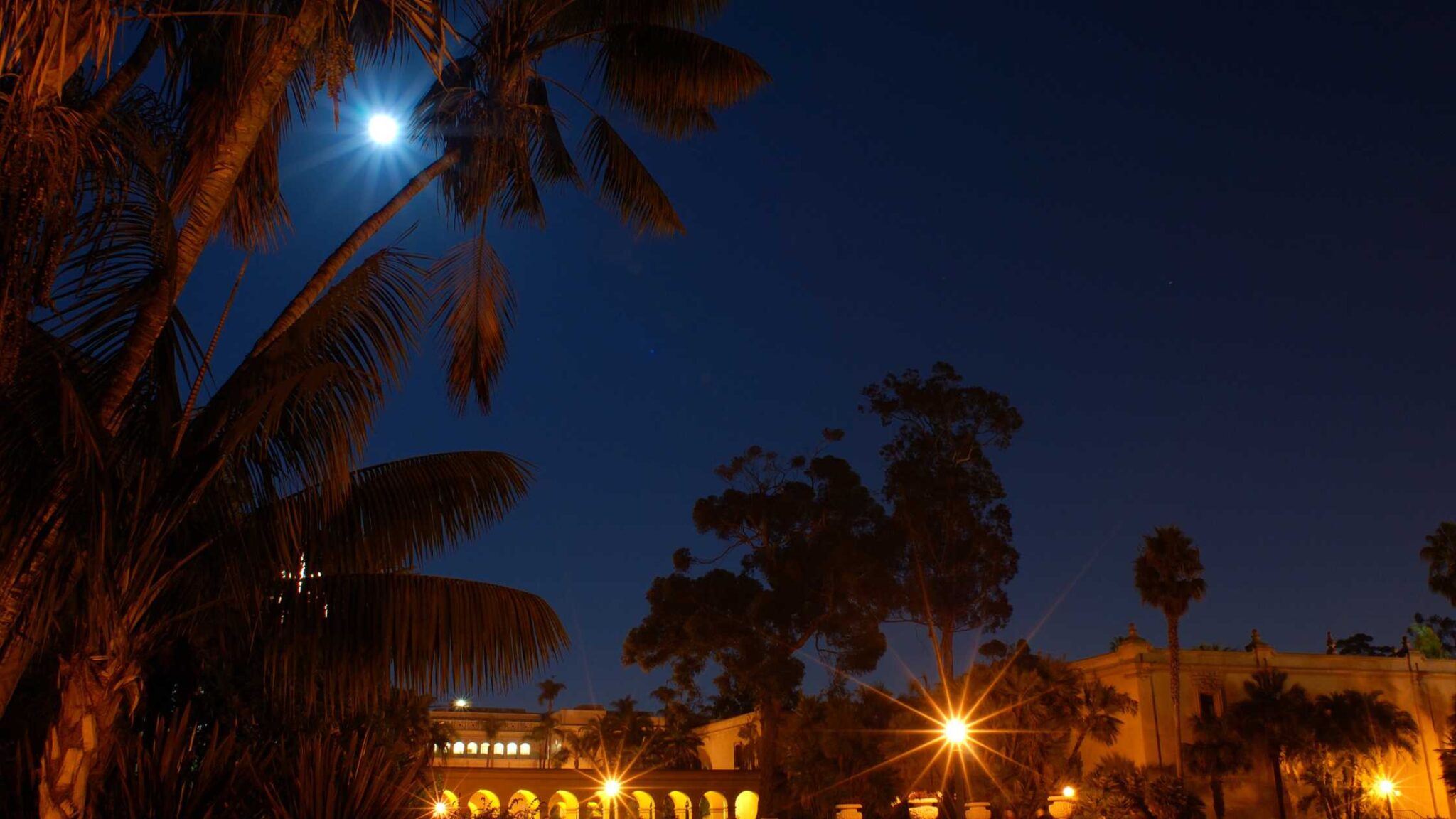 25 FUN THINGS TO DO IN SAN DIEGO AT NIGHT