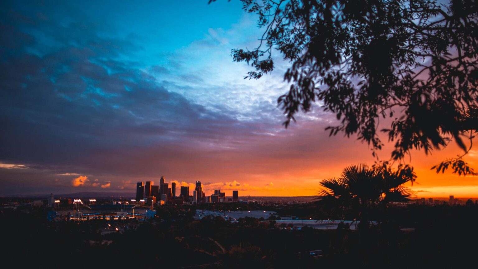 30 COOL THINGS TO DO IN LA AT NIGHT(BESIDES CLUBBING)